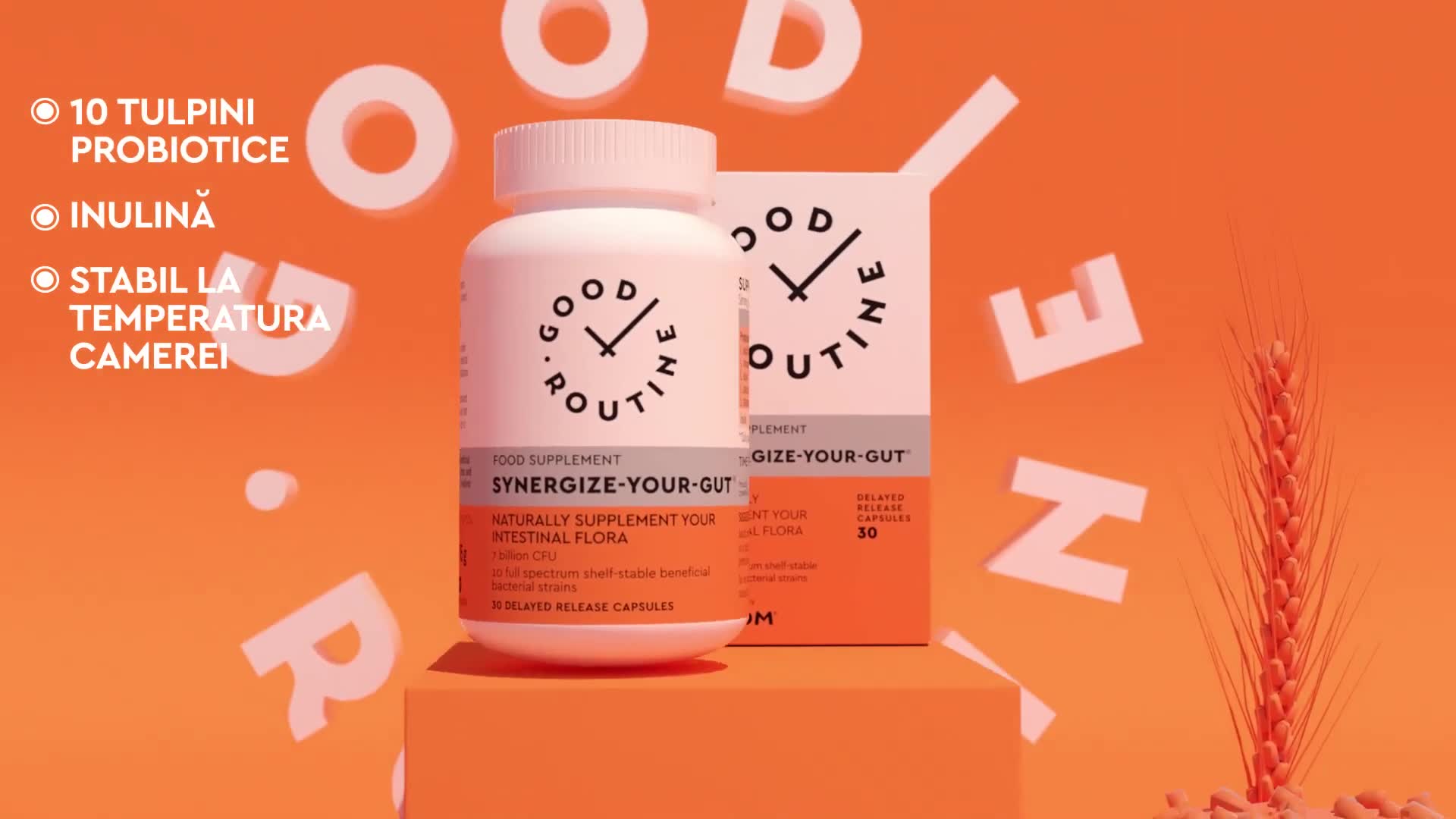 Synergize Your Gut Good Routine, 30 capsule, Secom - eMAG.ro