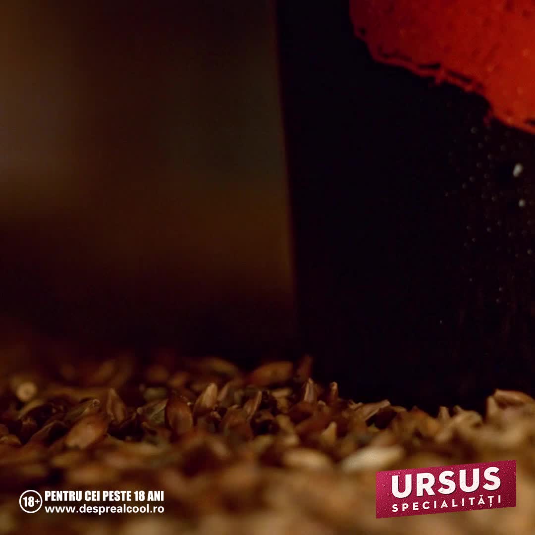 Bere neagra Ursus, doza, 24 x 0.5l - eMAG.ro