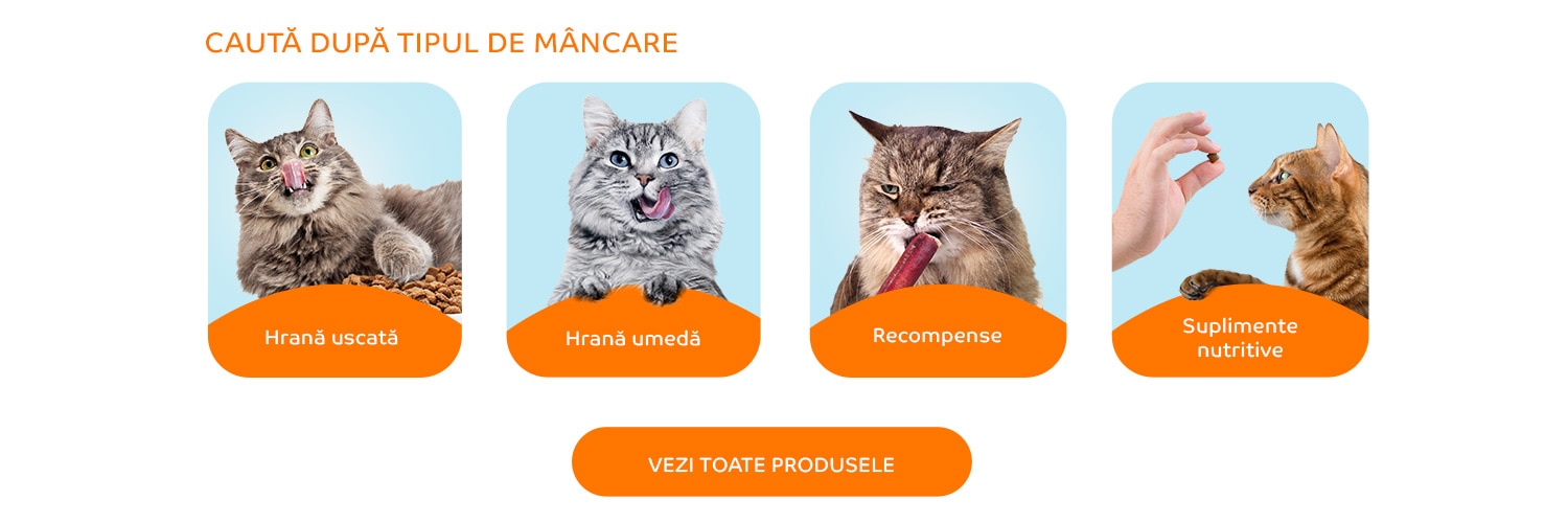 Accesorii și Mâncare pentru Animale - Petshop eMAG - eMAG.ro