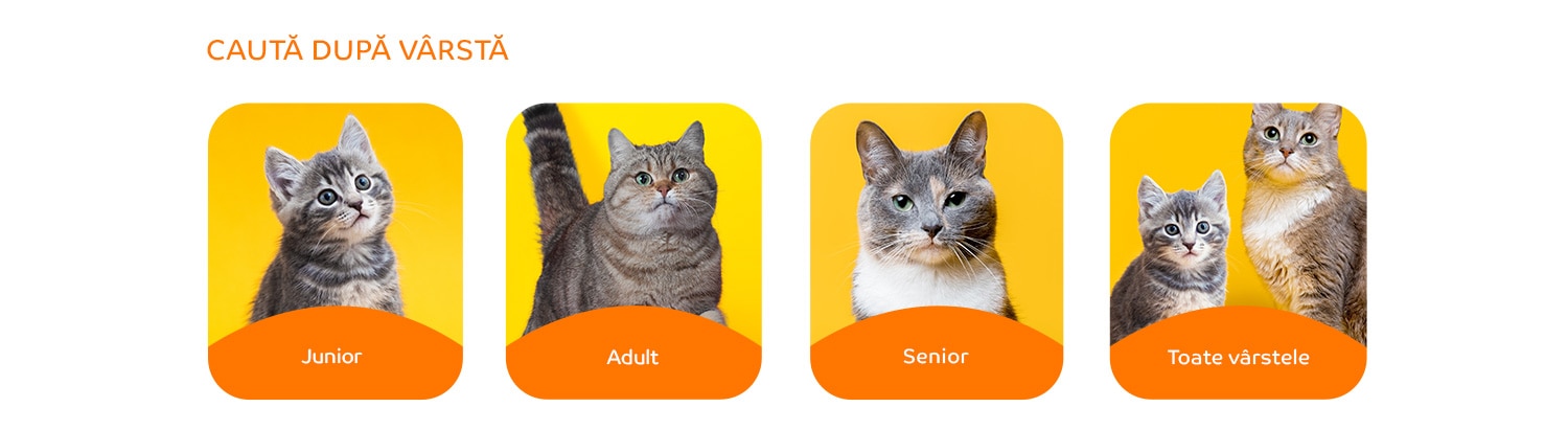 Accesorii și Mâncare pentru Animale - Petshop eMAG - eMAG.ro