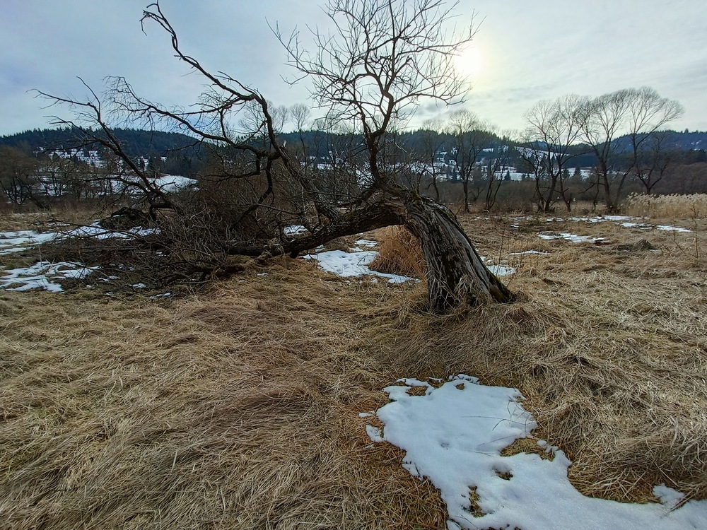 Telefon mobil Oppo Reno 6, Dual SIM, 128GB, 8GB RAM, 5G, Stellar Black ...