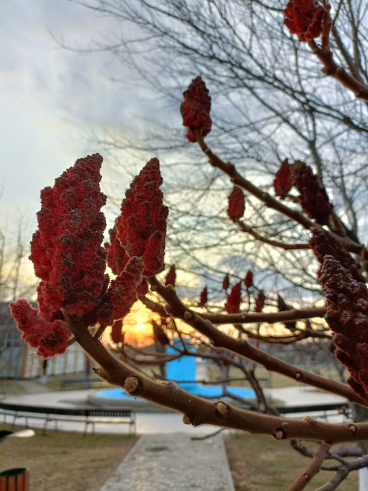 Telefon mobil Oppo Reno 6, Dual SIM, 128GB, 8GB RAM, 5G, Stellar Black ...