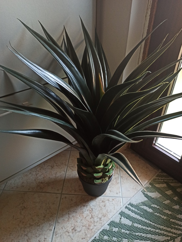 Planta artificiala Yucca in ghiveci, vidaXL, Plastic, 45 cm, Multicolor ...
