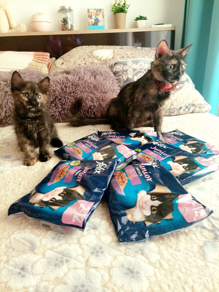 Hrana umeda pentru pisici Felix Fantastic Somon, Peste Cambula in Aspic ...