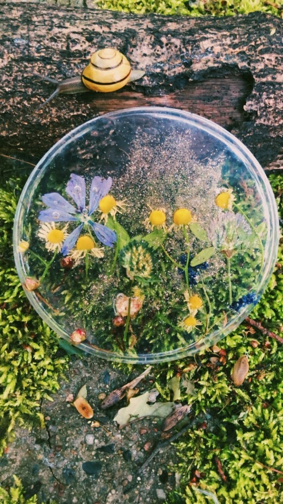 Rasina epoxidica transparenta set 100g + 50g intaritor - eMAG.ro