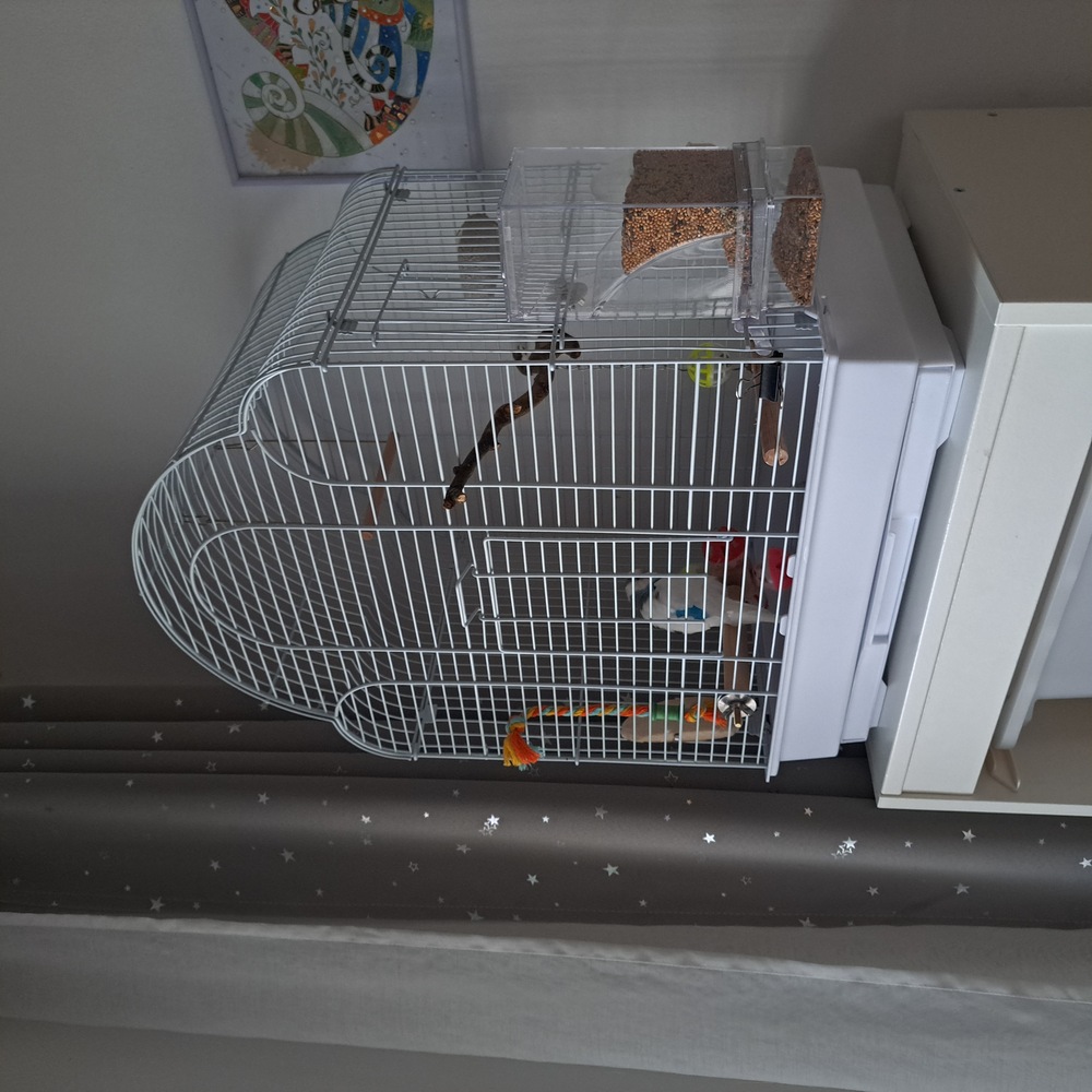 Colivie pentru pasari, Biotur, roz, hexagonala, 44.5x39x55 cm - eMAG.ro