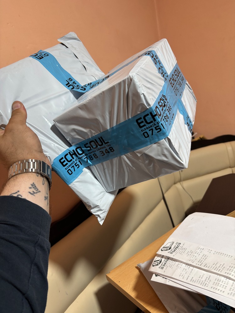 Organizator portbagaj Echo Soul® – 3 Compartimente – Capac – Buzunare Laterale – Pliabil si ...