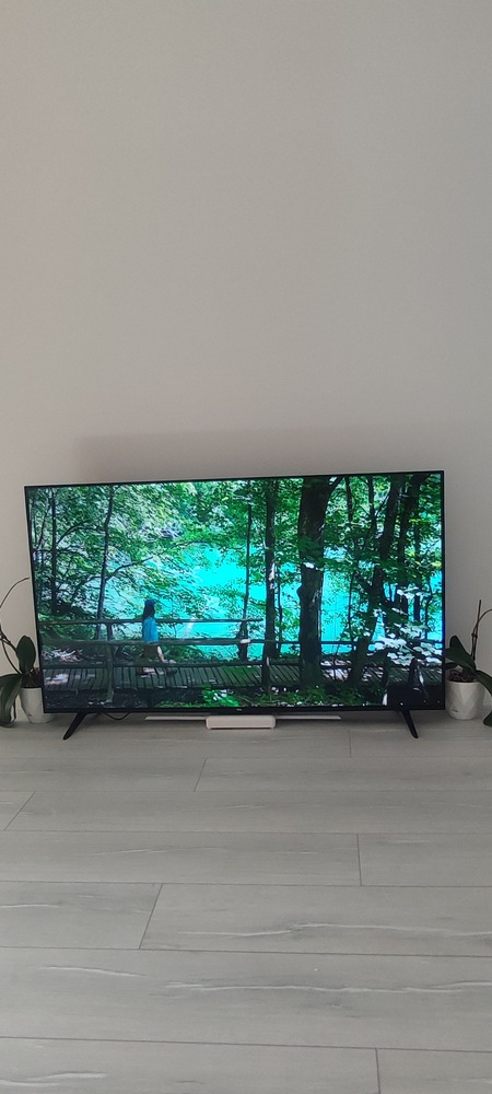 Телевизор TCL LED 43P655, 43" (108 см), Smart Google TV, 4K Ultra HD ...