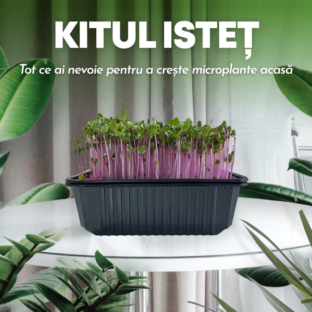 Kitul istet pentru a creste microplante acasa - eMAG.ro
