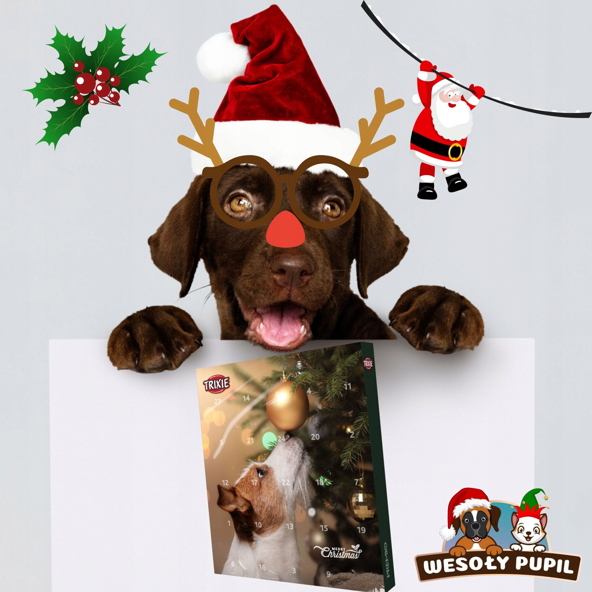Calendar advent pentru caini, Trixie, 24 recompense, 8 tipuri de ...