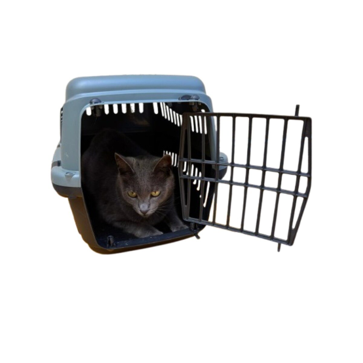 Cusca Transport Pisicute si Catei Mici Mini, Pui, Iepuri Mici ...