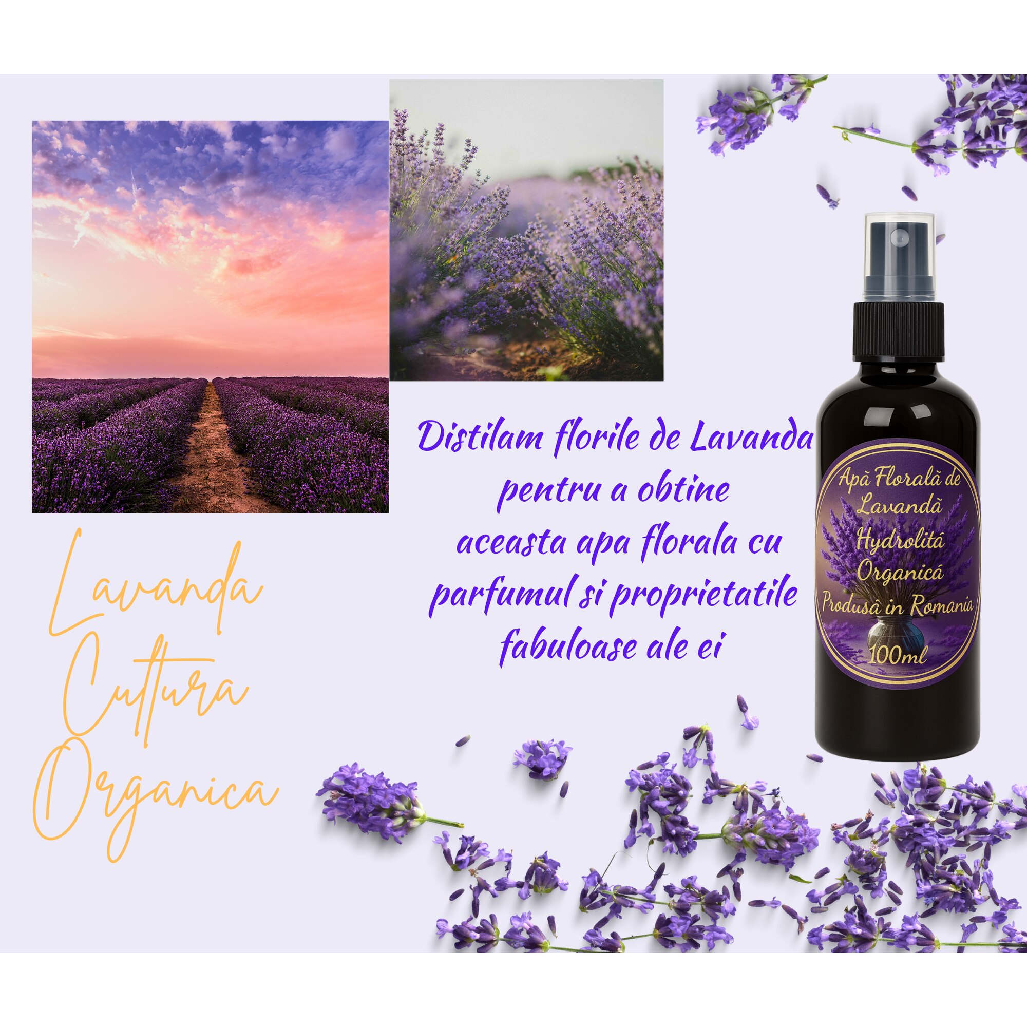 Apa Florala de Lavanda Hidrolita Organica - eMAG.ro