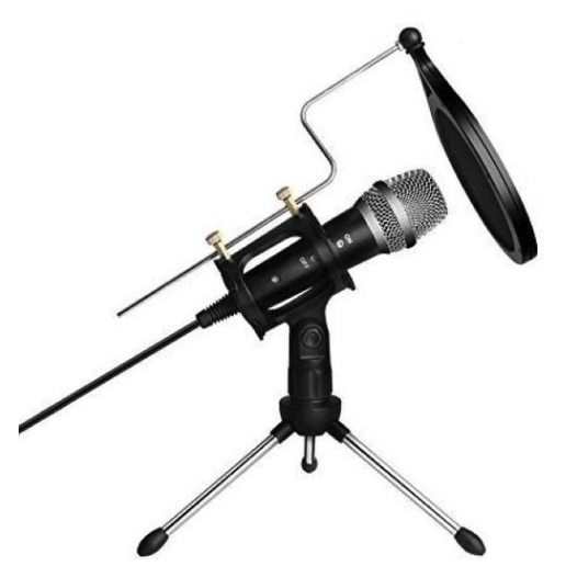 Microfon Profesional de inregistrare vocala si Karaoke pentru Studio WG ...