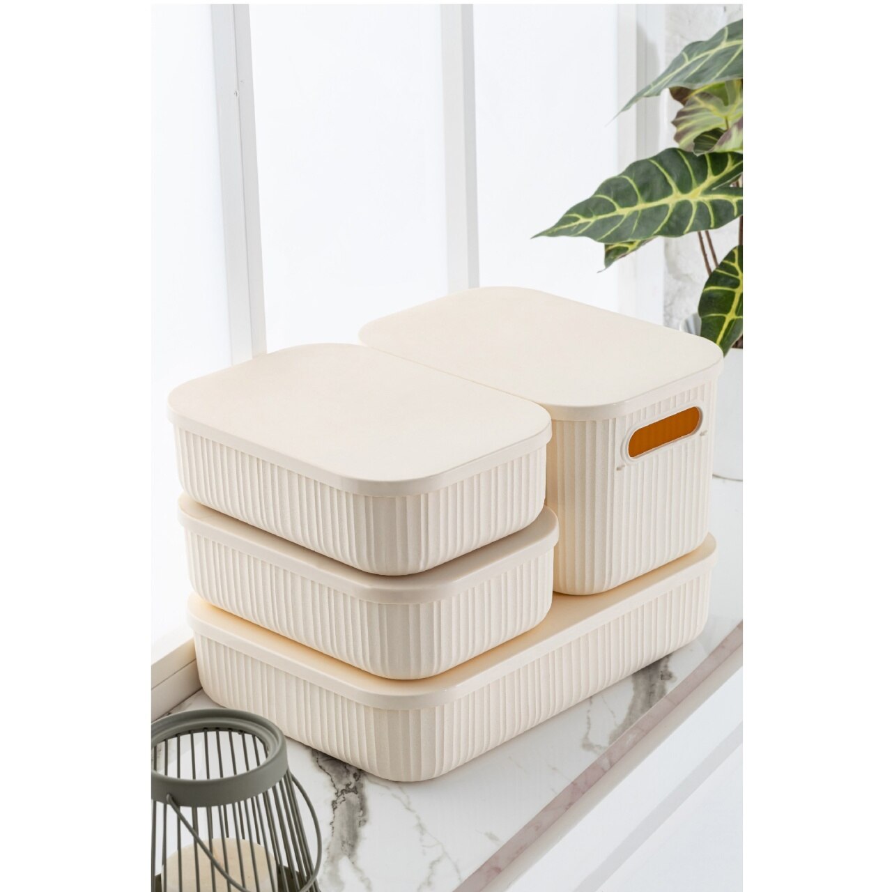 Set 4 cutii cu capac bej din plastic Lik The Home Collection - eMAG.ro