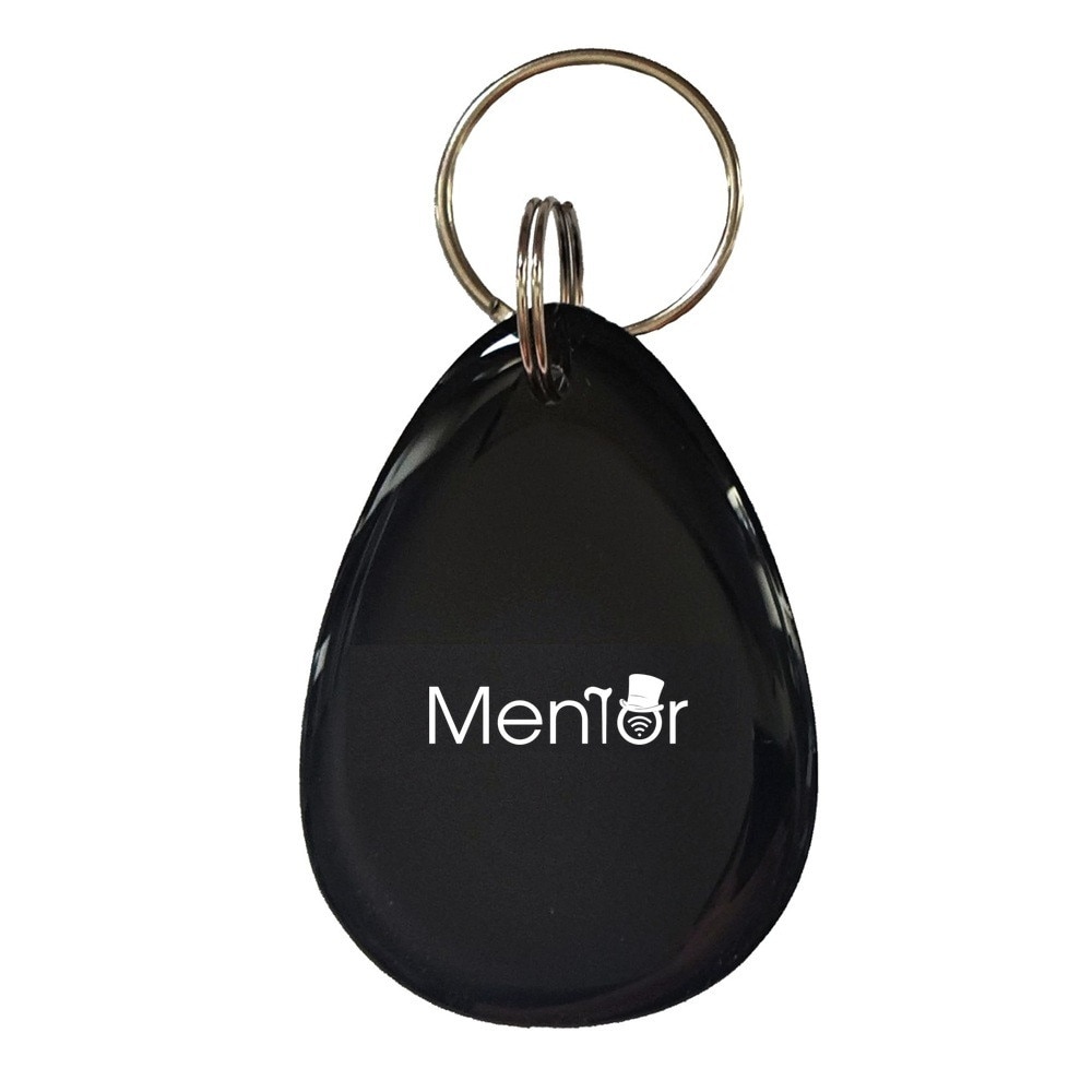 Breloc, Tag, Cartela de Proximitate RFID 125kHz Mentor SY080 - Acces ...