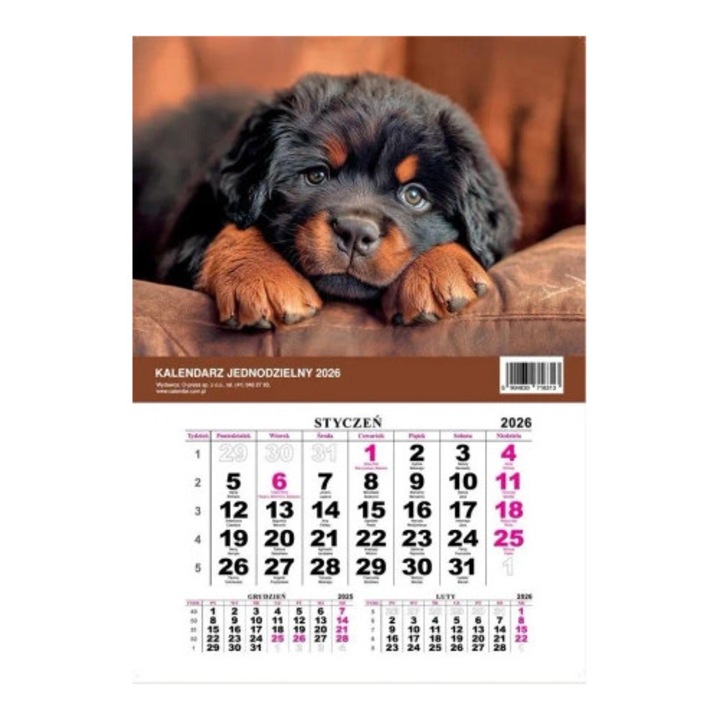 Calendar 2026, O-press, format 210x295x2 mm, 12 pagini, cu suport ...