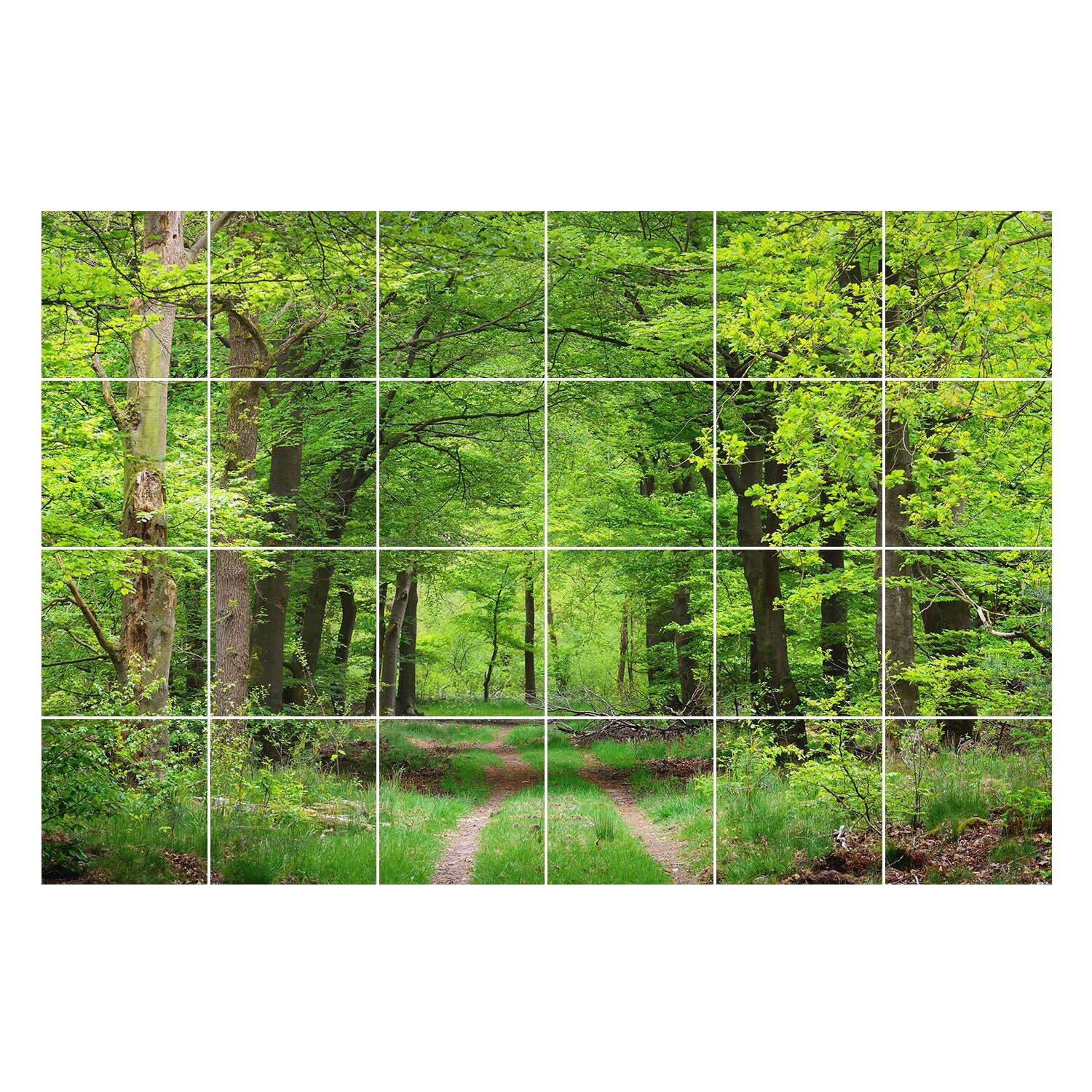 Autocolante pentru gresie, Wallfluent, Poteca de padure in natura ...