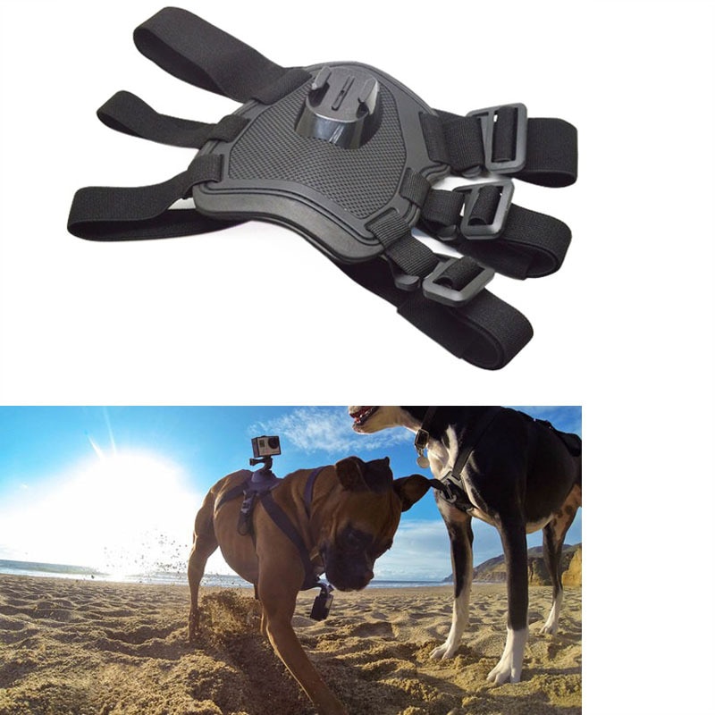 Set ham pentru catei, cu 2 suporturi de camere, compatibil cu GoPro si ...
