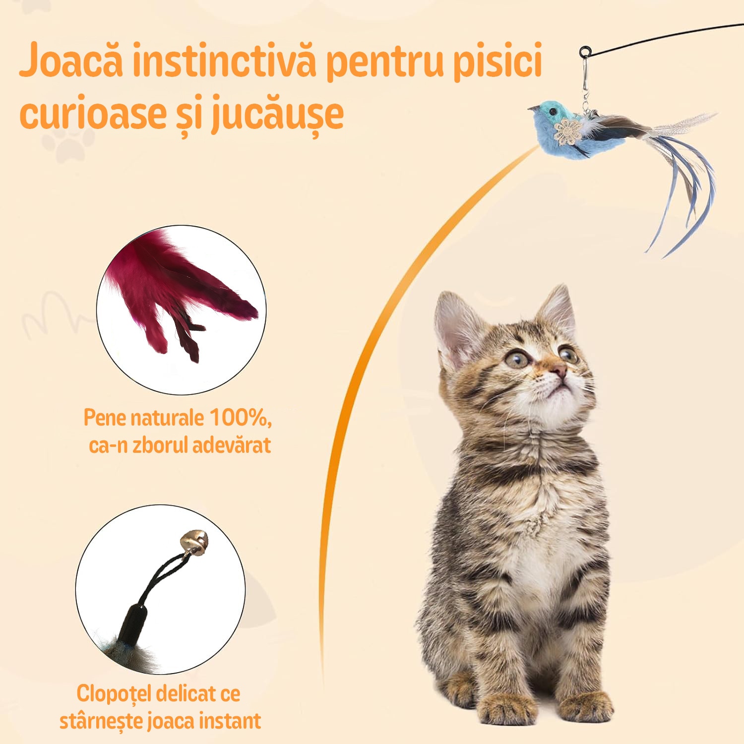 Jucarie Interactiva Pisici 5 in 1 MONDESA®, Cu Ventuza Ultra-Rezistenta ...