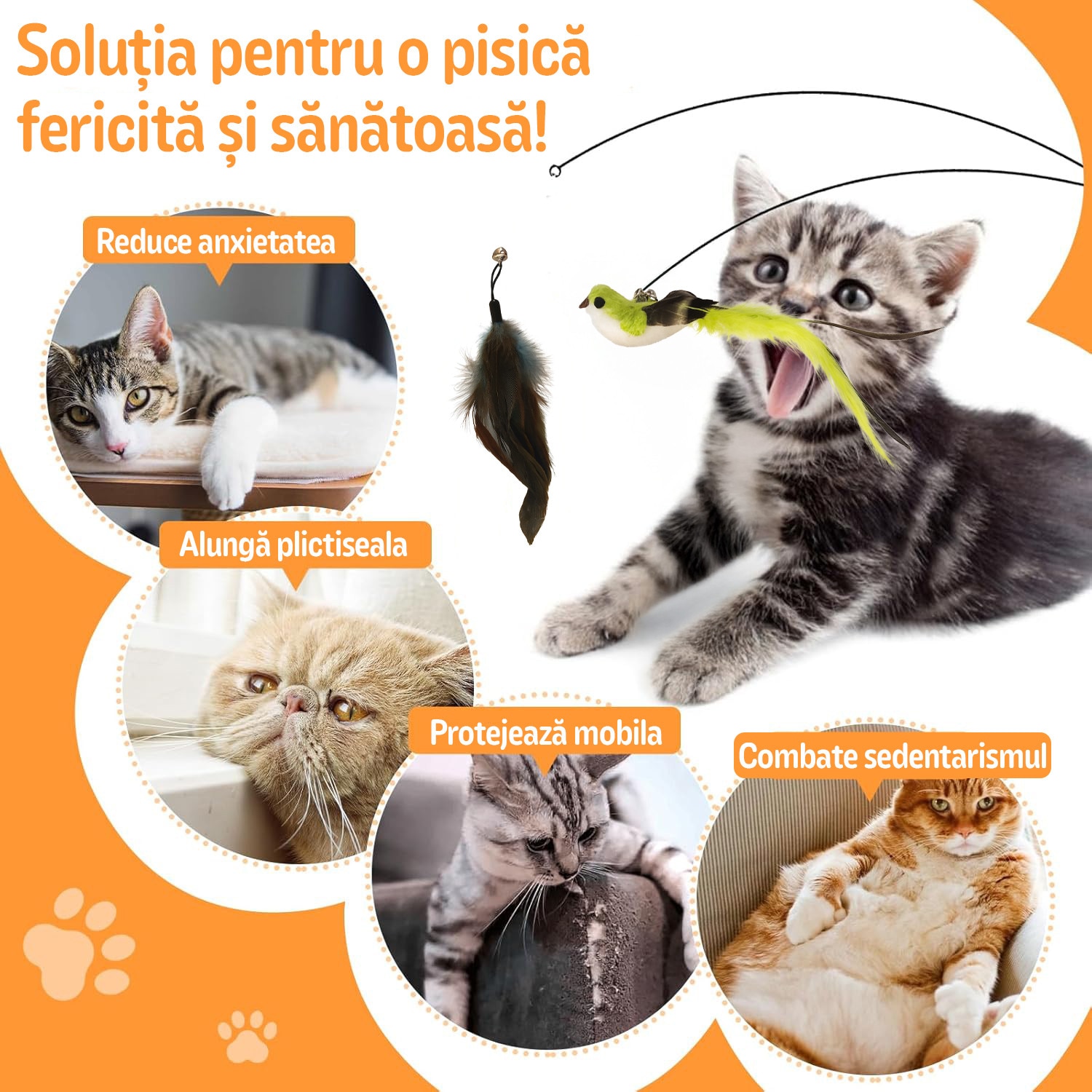 Jucarie Interactiva Pisici 5 in 1 MONDESA®, Cu Ventuza Ultra-Rezistenta ...