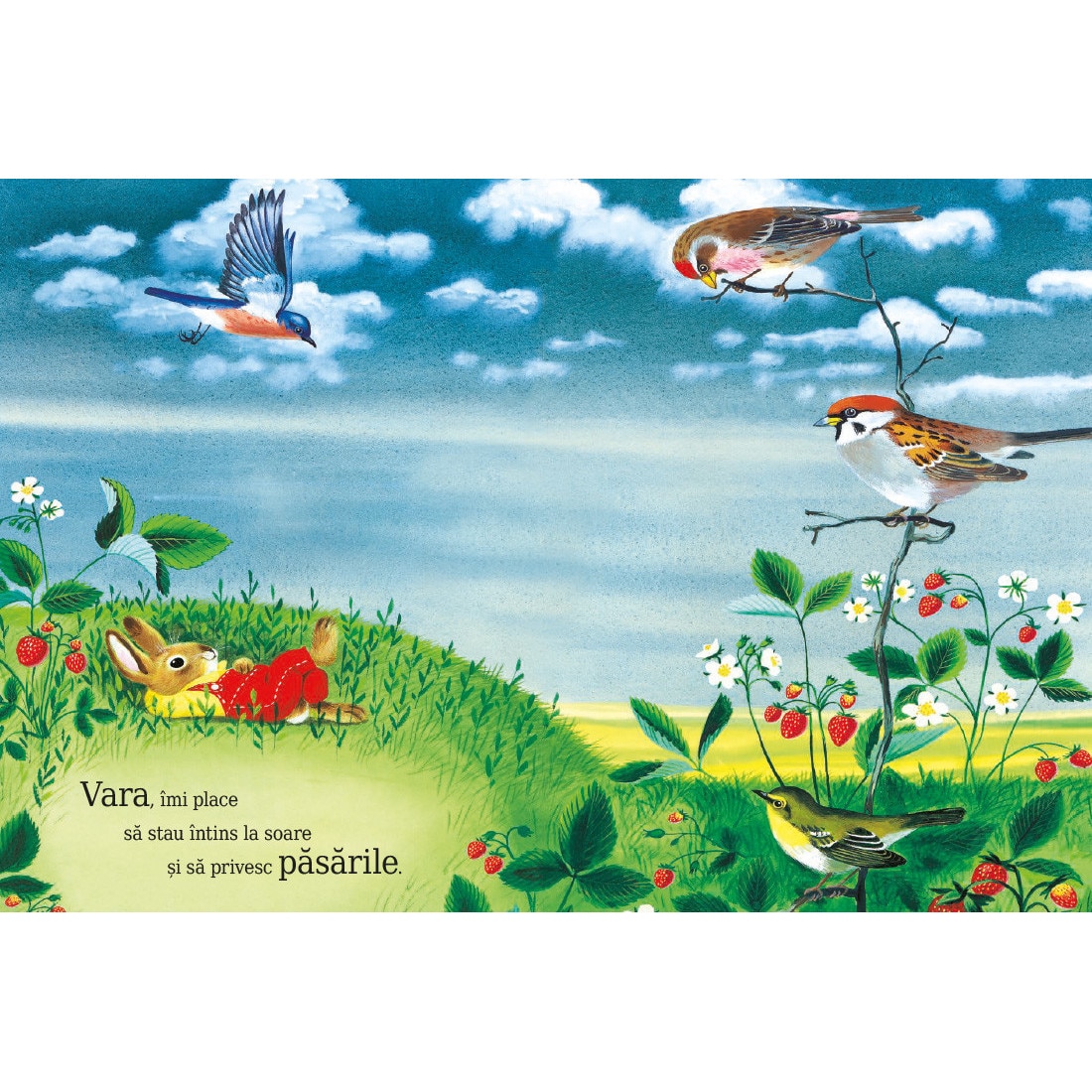 Sunt un iepuras, CARTEA COPIILOR, Richard Scarry, 1-5 ani, coperta ...