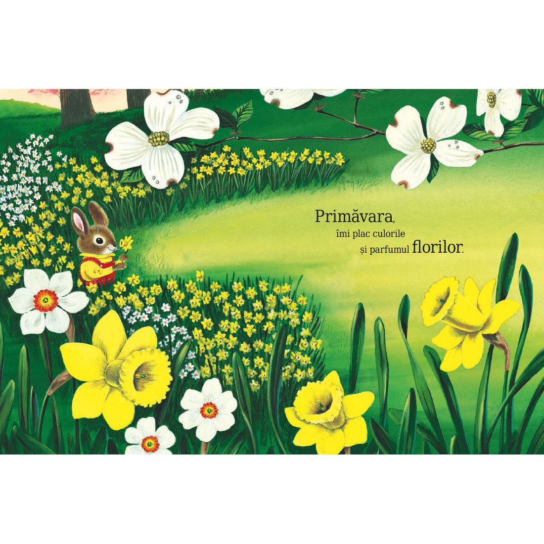 Sunt un iepuras, CARTEA COPIILOR, Richard Scarry, 1-5 ani, coperta ...
