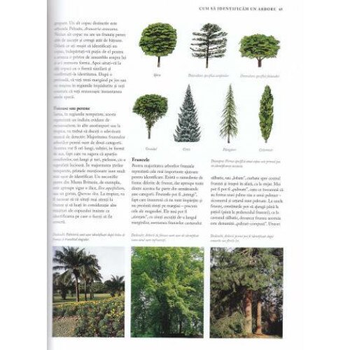 Enciclopedie completa ilustrata - Arbori - eMAG.ro