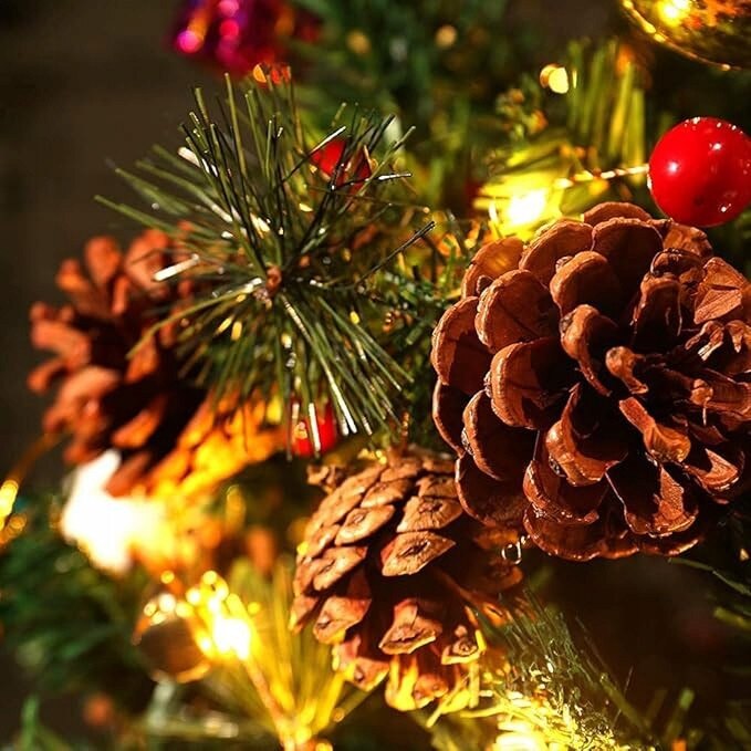 Lant Luminos 2M Cu Folie De Protectie, Maro, 2 M, Alimentare Cu Baterii ...