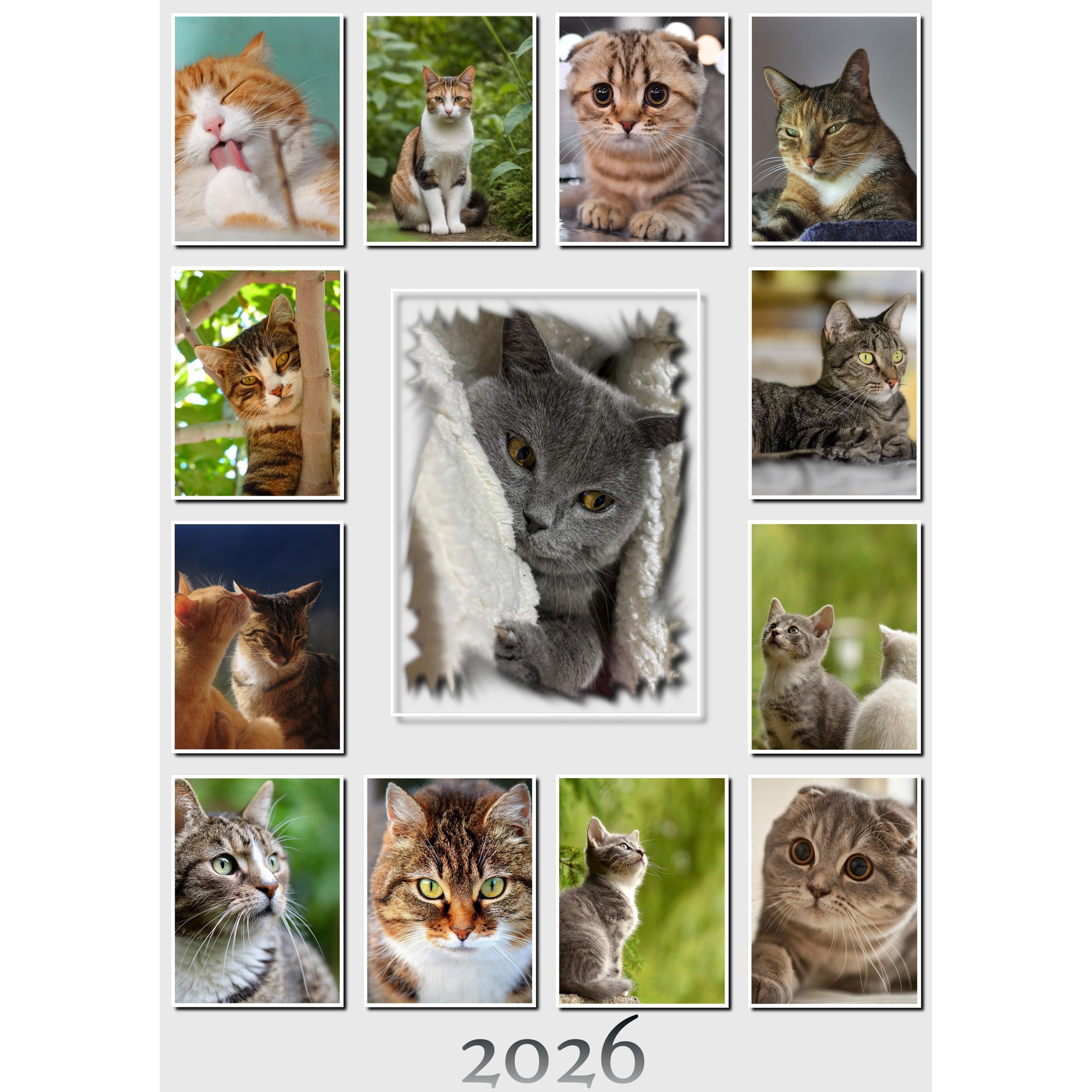 Calendar 2026 Pisici, 13 file carton lucios, 21x30 cm - eMAG.ro