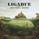 Luciano Ligabue - Arrivederci Mostro (1CD) - eMAG.ro