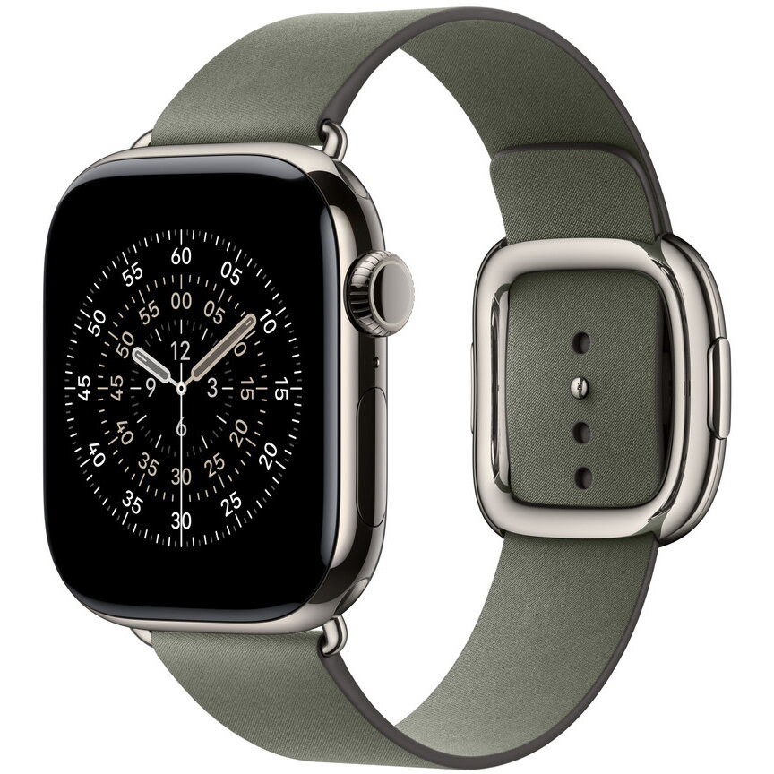 Apple Watch 42mm Modern Buckle: Sage Gray Modern Buckle - Medium - eMAG.ro