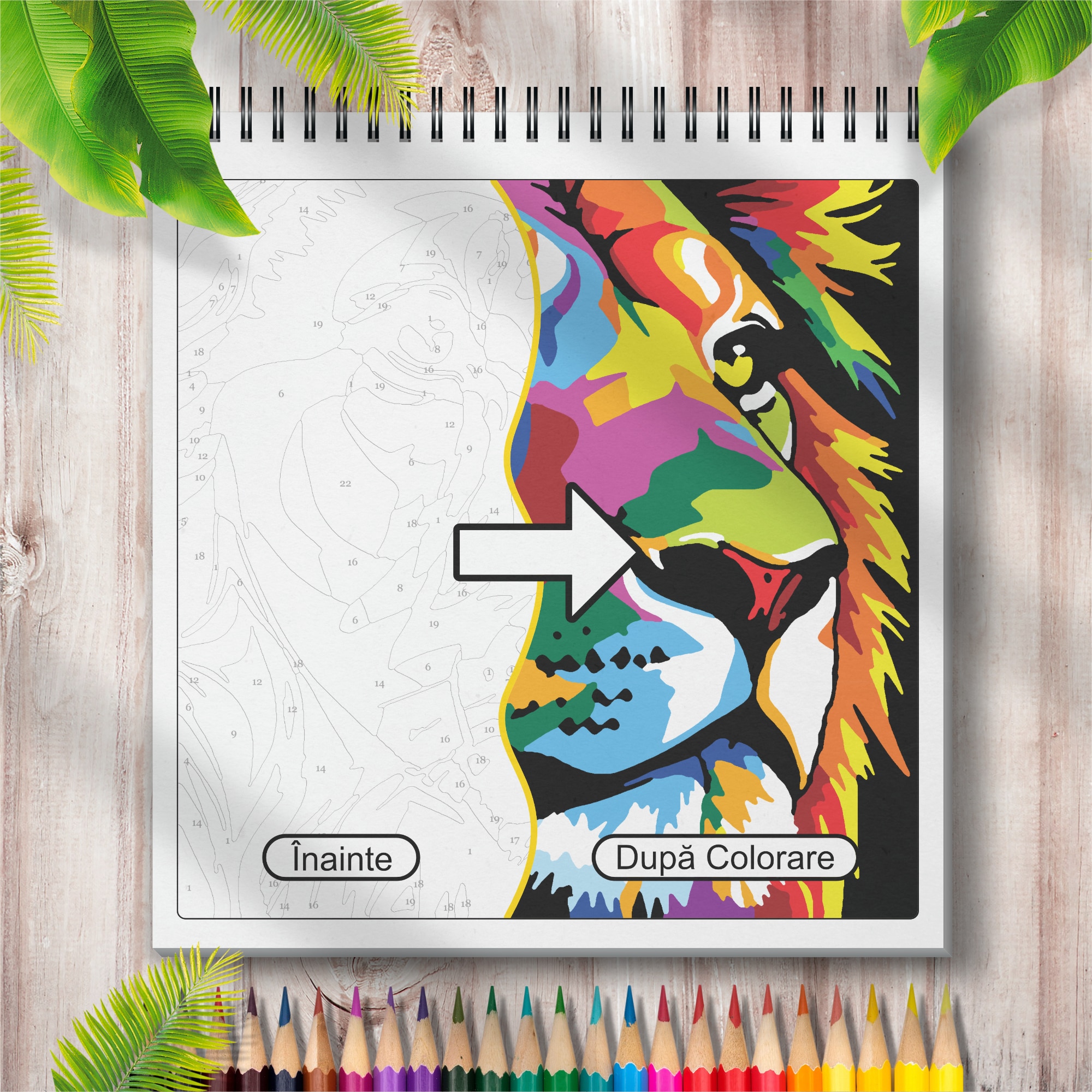 Carte de colorat dupa numere, Colorful Animals, 30 Ilustratii Color by ...