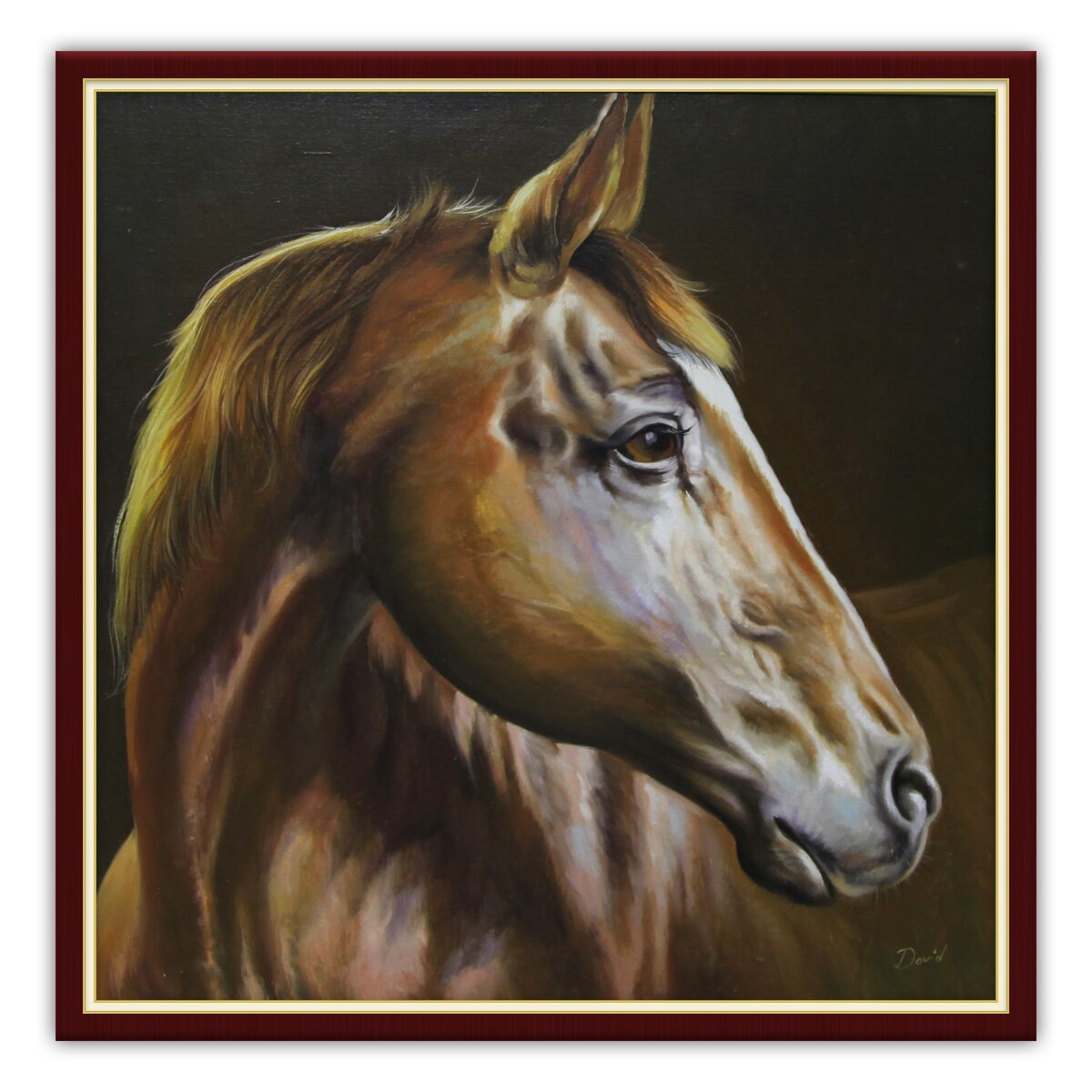 Dávid Mátyás Ló Olajfestmény 70x70 - eMAG.hu
