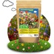 Amestec de flori perene pentru pajisti – 100g, peste 40 de specii ...