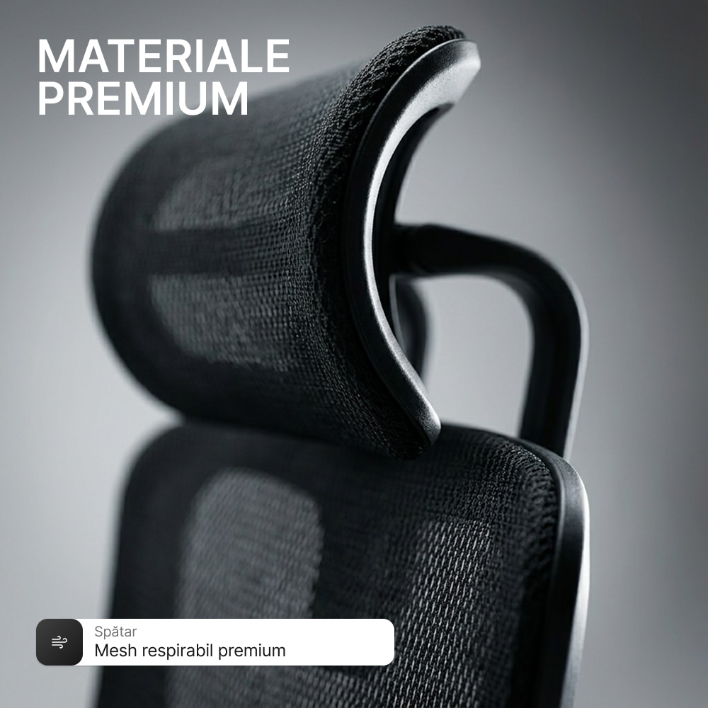 Scaun Ergonomic, SIHOO®, Spatar Reglabil Pe Inaltime, Suport Lombar Cu ...