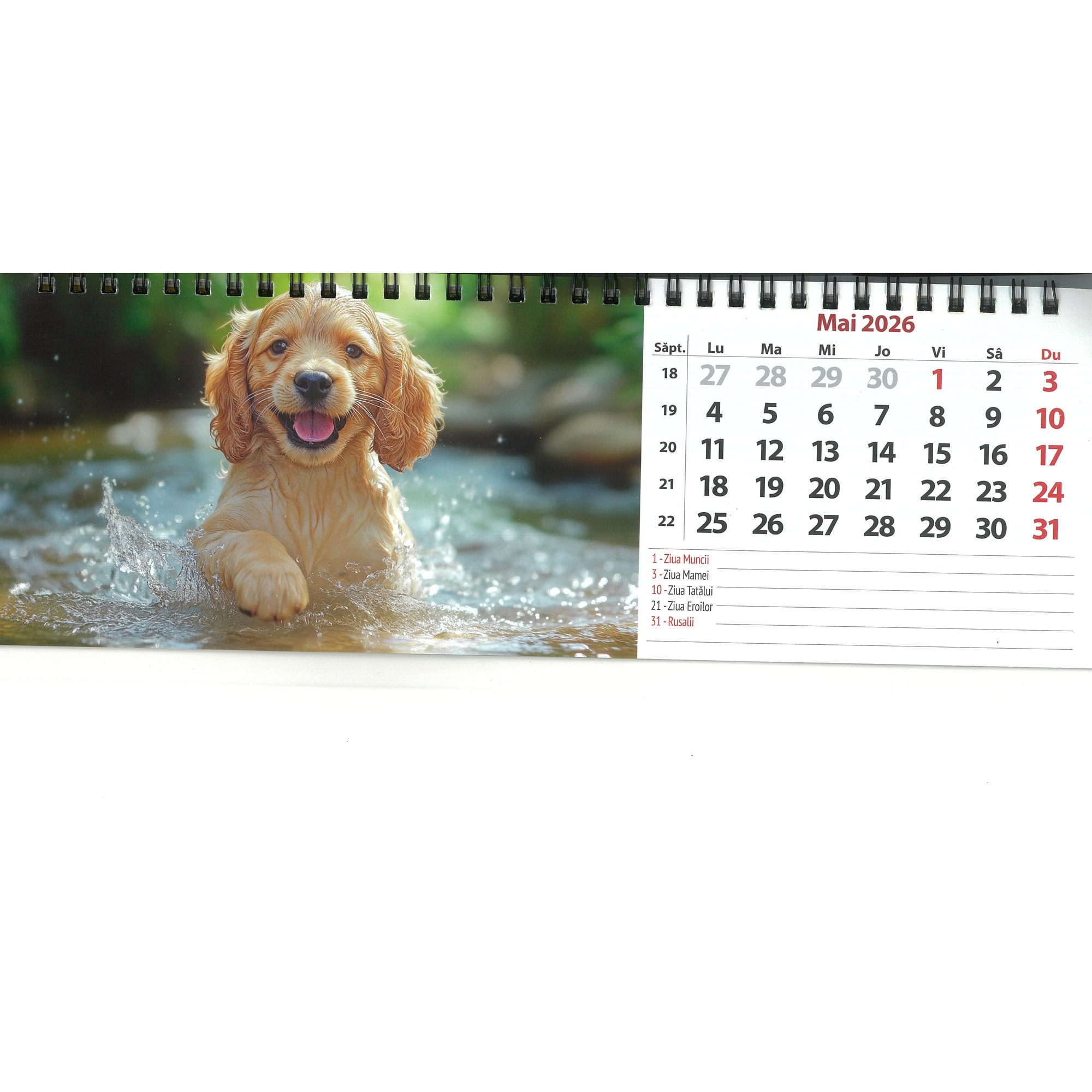 Calendar de birou cu animale indragite, anul 2026, 8 file, O-Press ...