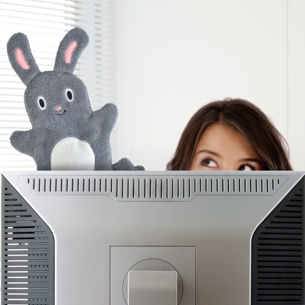 Manusa pentru sters praful Fred Iepuras - eMAG.ro