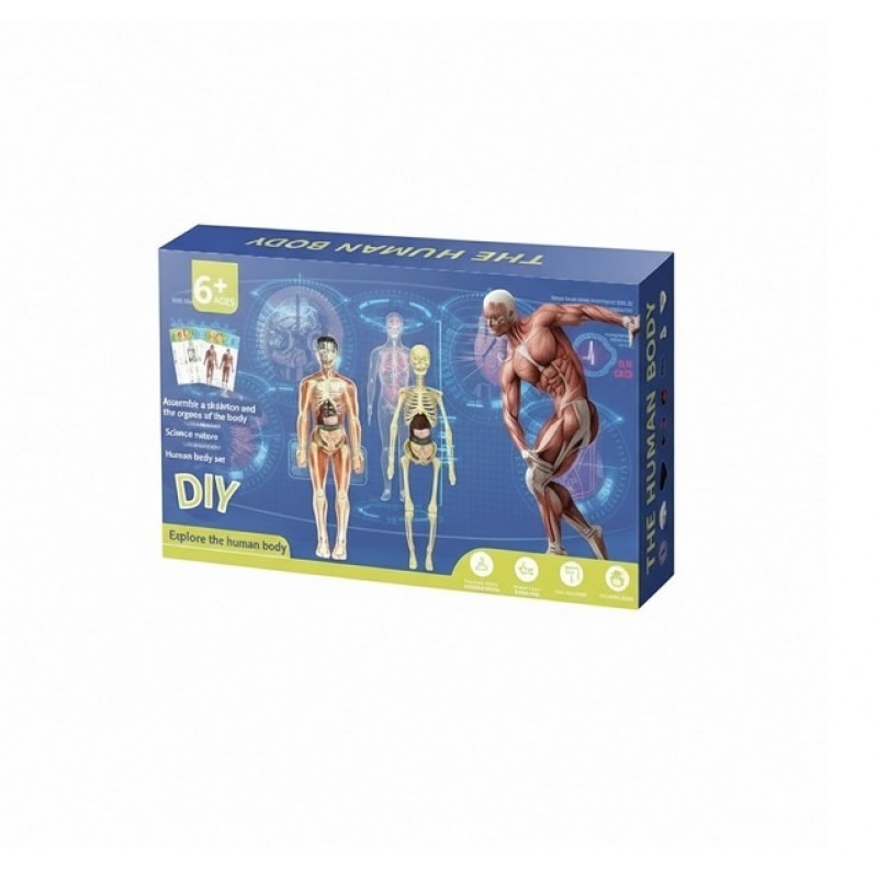 Set educativ model anatomic corpul uman 3D - eMAG.ro