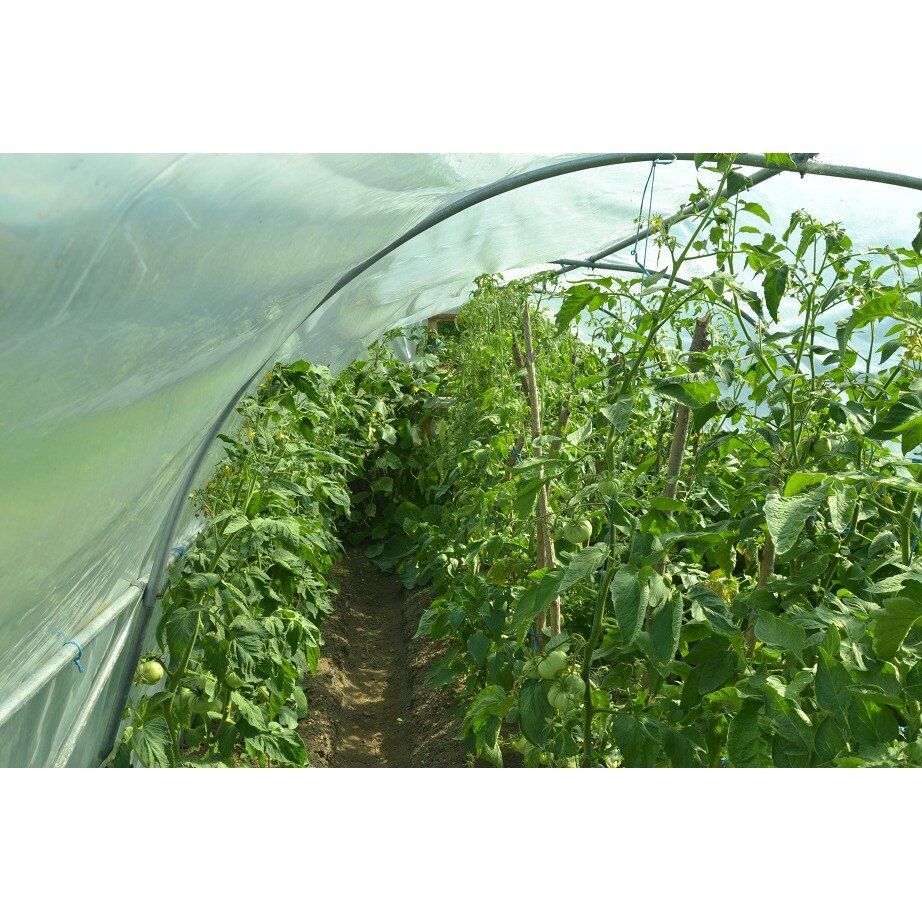 Sera 32 Mp 800x400x250 cm - eMAG.ro