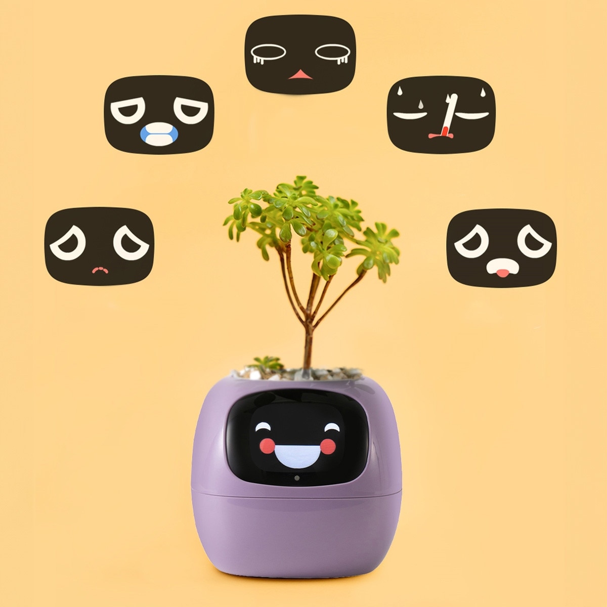 Ghiveci inteligent IVY SMART PLANTER, violet, 11.4x10x9.6cm - eMAG.ro
