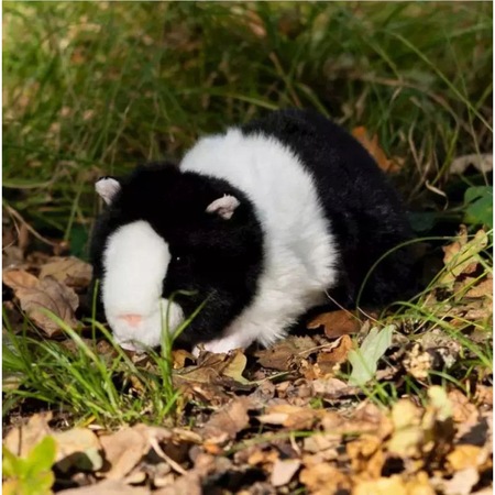 Jucarie Plus Porcusor of Guinea Animigos, 10 cm - eMAG.ro