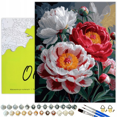 Set de Pictura pe Numere 50x40 cm - Flori Frumoase cu Rame - Kit de ...