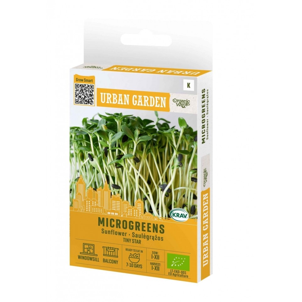 Microplante Microgreens Floarea Soarelui Tiny Star, Urban Garden ...