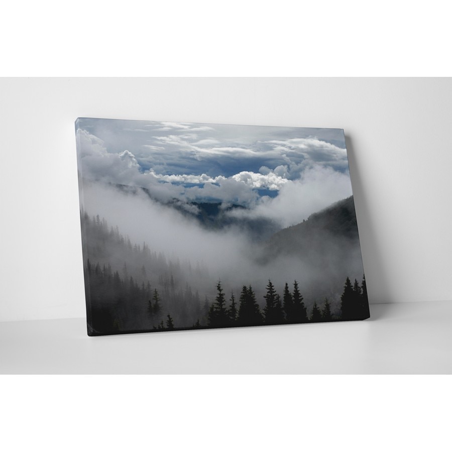 Peisaj innorat - Tablou Canvas - 50x65 cm - eMAG.ro