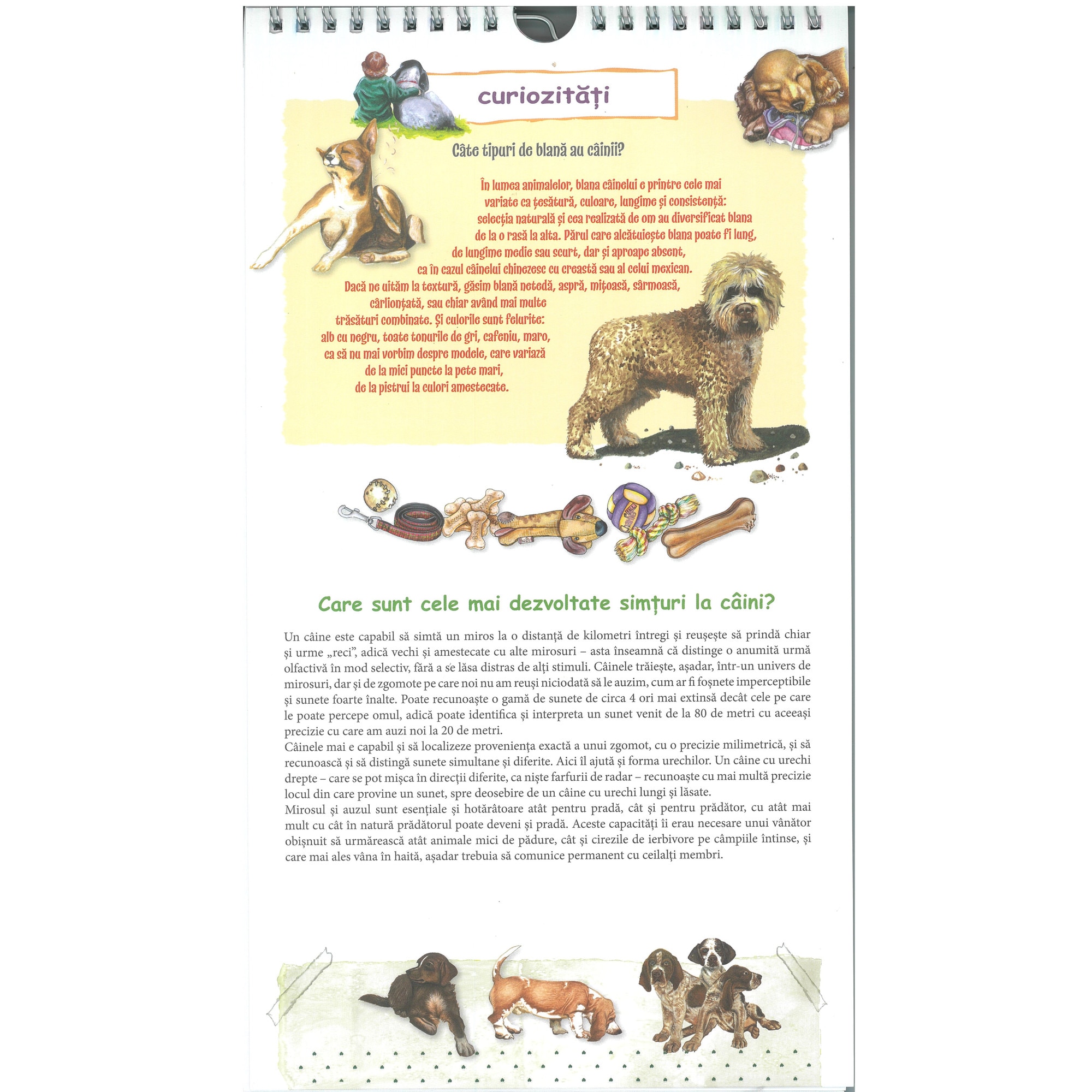 Calendar c caini 2026, format A4, 14 file, Alias Publishng - eMAG.ro