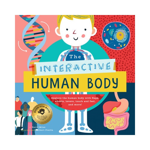 The Interactive Human Body: Explore The Human Body With Flaps, Wheels ...