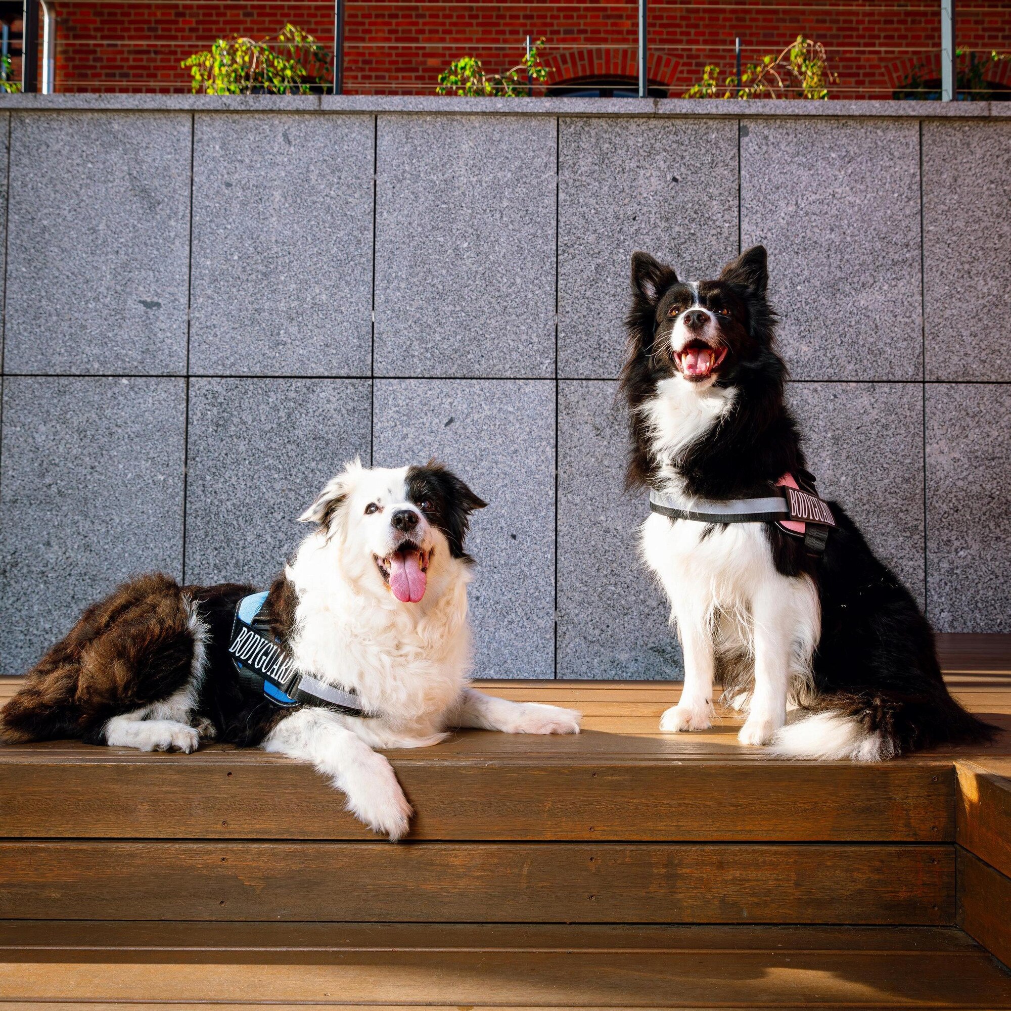 Ham Bodyguard Barry King, roz, S, 50x60 cm, elemente reflectorizante ...