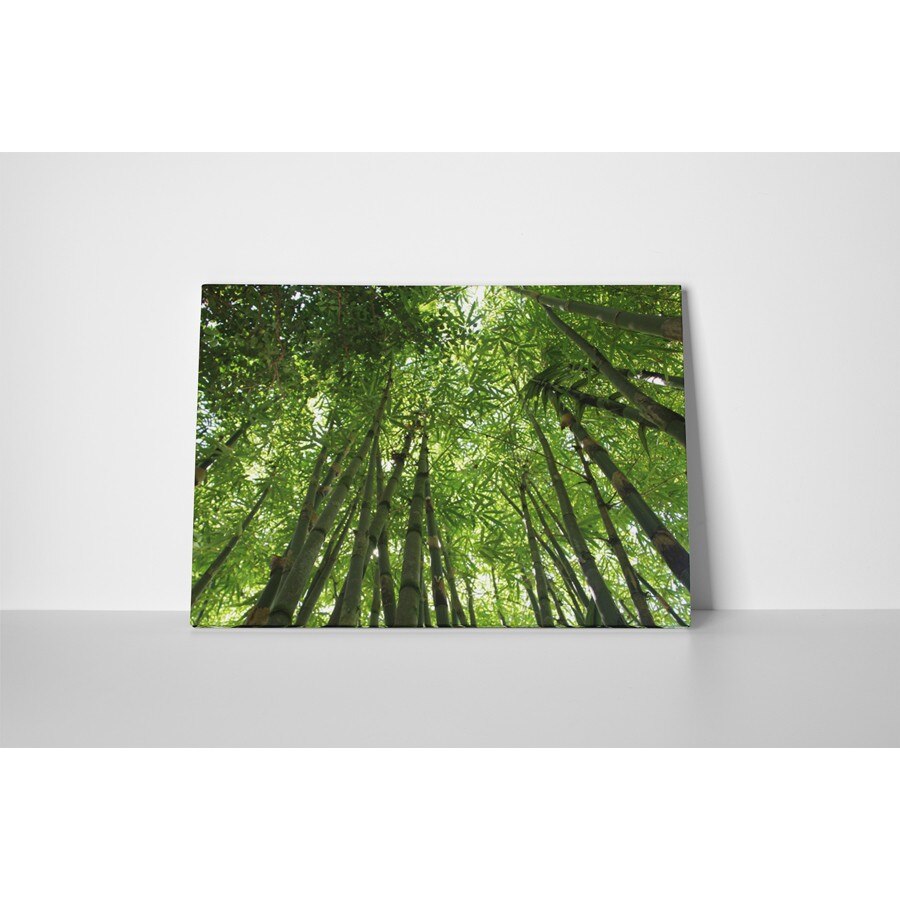 Intre copaci inalti - Tablou Canvas - 20x25 cm - eMAG.ro