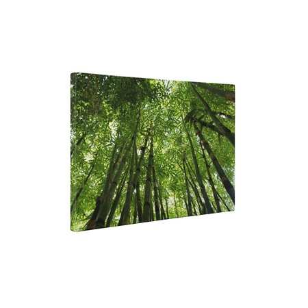 Intre copaci inalti - Tablou Canvas - 20x25 cm - eMAG.ro