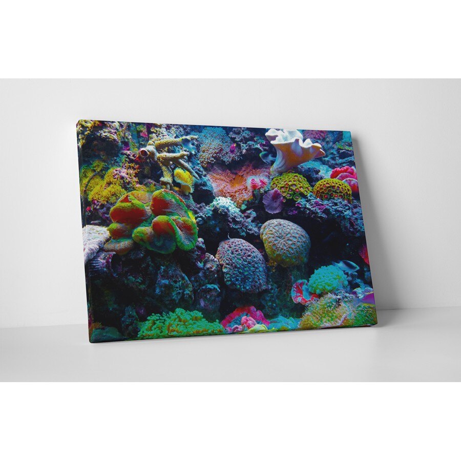 Viata subacvatica - Tablou Canvas - 25x35 cm - eMAG.ro